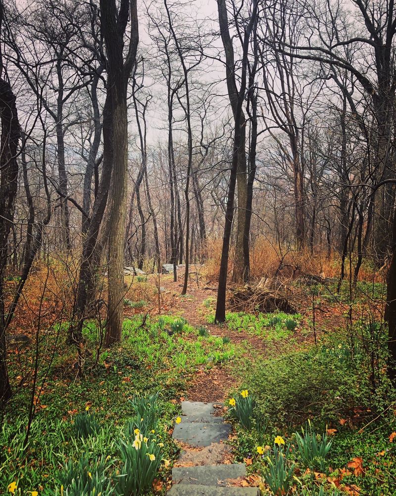 LESLIE SUTHERLAND PARK - 37 Photos - 35 Overcliff St, Yonkers, NY - Yelp