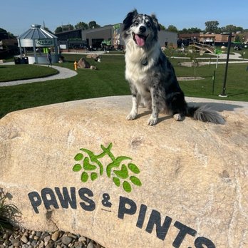 PAWS & PINTS - Updated October 2025 - 169 Photos & 80 Reviews - 6218 ...