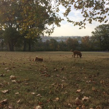 VINNYLINKS GOLF COURSE - Updated August 2025 - 98 Photos & 14 Reviews ...