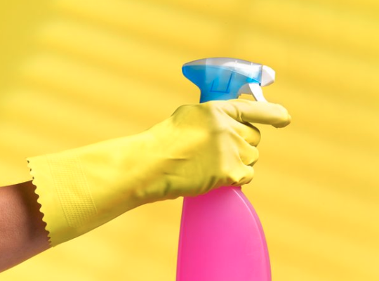 PIXIE DUST CLEANING SERVICES - Updated December 2025 - 34 Photos & 16 Reviews - 20521 Raymond ...