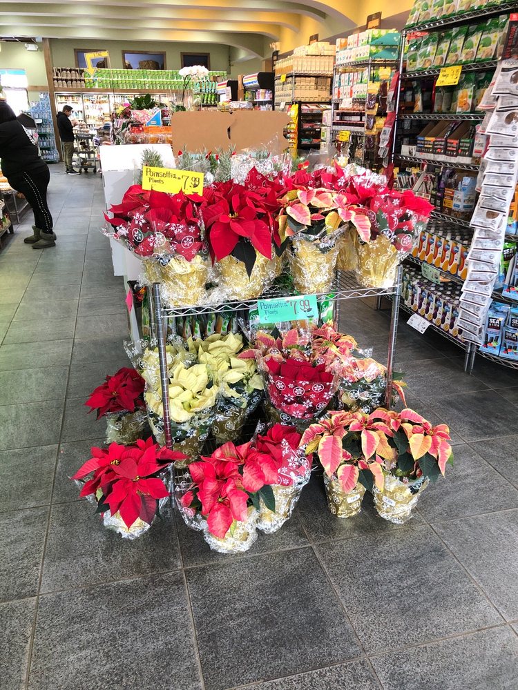 FRESH MEADOWS NATURAL - 55 Photos & 135 Reviews - 6974 188th St, Fresh ...