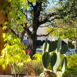 MUCHACHO - Updated July 2025 - 208 Photos & 221 Reviews - 4011 ...