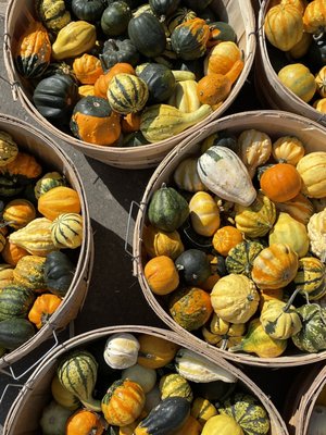 HY-HOPE FARM - Updated October 2025 - 49 Photos & 19 Reviews - 5450 ...