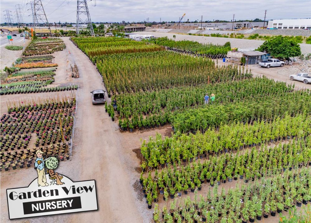 GARDEN VIEW NURSERY - Updated May 2025 - 287 Photos & 215 Reviews ...
