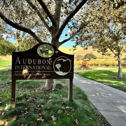 THE GRILL AT WENTE VINEYARDS - Updated July 2025 - 216 Photos & 175 ...