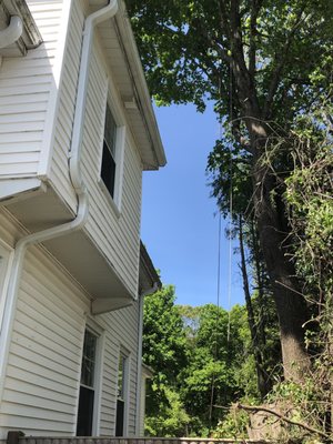 NORTH EASTERN TREE SERVICE - Updated December 2025 - 29 Photos & 104 ...