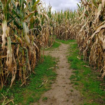 MAYBURY FARM - Updated December 2025 - 70 Photos & 20 Reviews - 50165 8 ...