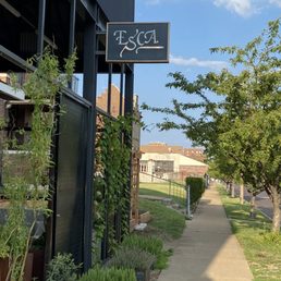 ESCA - Updated July 2025 - 262 Photos & 74 Reviews - 5095 Delmar Blvd ...