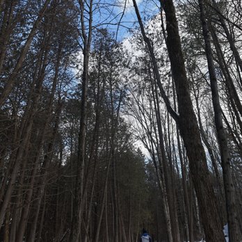 PINHEY FOREST - Updated March 2025 - 1701 Woodroffe Avenue, Ottawa ...