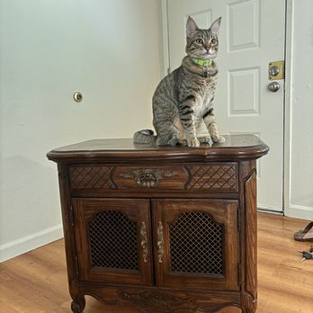 LOUNGE LIZARD - Updated January 2026 - 113 Photos & 145 Reviews - 1426 ...