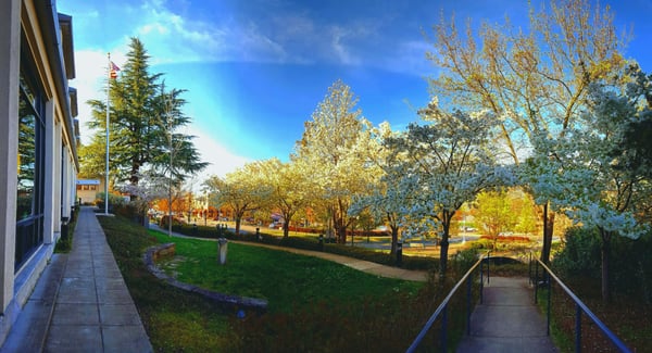 ASHLAND BRANCH LIBRARY - Updated August 2025 - 31 Photos & 16 Reviews ...