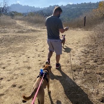 WILACRE PARK - Updated June 2024 - 428 Photos & 171 Reviews - 3431 ...