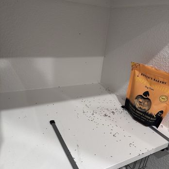 ZRS MANAGEMENT - Updated January 2026 - 100 Photos & 59 Reviews - 2001 ...