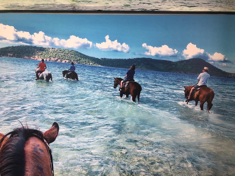 GOLDEN AGE RANCH - Updated March 2024 - St Thomas, Virgin Islands ...