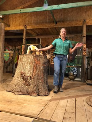 ZOOSIANA ZOO OF ACADIANA - 55 Photos & 32 Reviews - Zoos - 5601 Hwy 90 ...