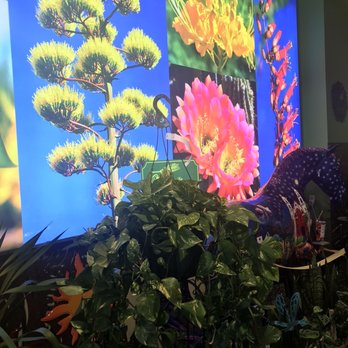 MESQUITE VALLEY GROWERS NURSERY - 413 Photos & 205 Reviews - 8005 E ...