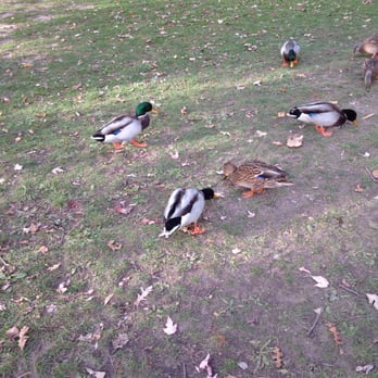 ROCHESTER MUNICIPAL PARK - Updated September 2025 - 92 Photos & 19 ...