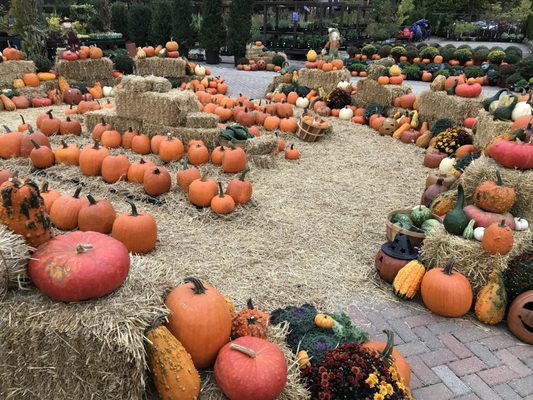 FARMERS MARKET GARDEN CENTER - 79 Photos & 103 Reviews - 4110 N Elston ...