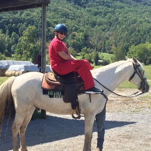 SUGARLANDS STABLES - Updated December 2025 - 19 Photos - 1409 Pkwy ...