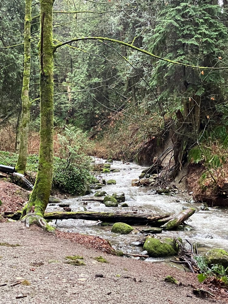 BYRNE CREEK RAVINE PARK - Updated January 2026 - 64 Photos - 6555 ...