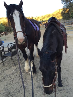 RUSTIC CANYON RANCH - Updated July 2025 - Browns Canyon Rd, Los Angeles ...