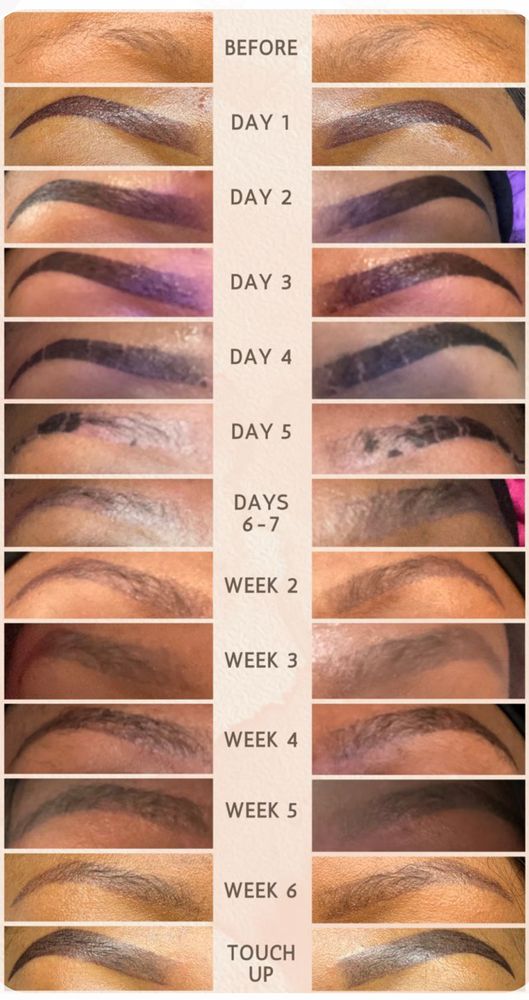 URBAN SHADE ARTISTRY - Updated October 2025 - 8743 South US 31 ...