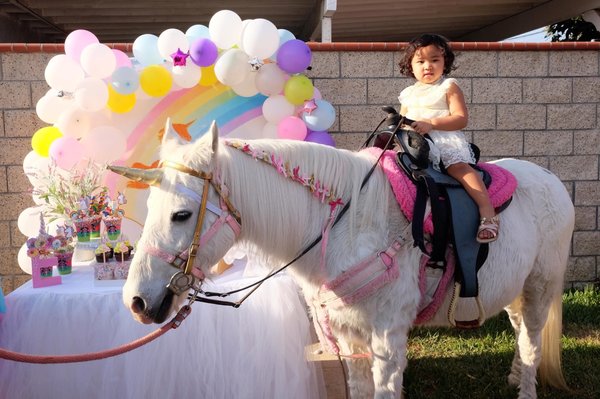 Ponies For Parties - Updated May 2026 - 61 Photos & 35 Reviews - El ...