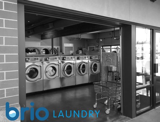 BRIO LAUNDRY - Updated November 2025 - 108 Photos & 105 Reviews - 810 ...