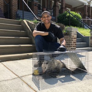 ARTERIX PEST CONTROL - Updated September 2025 - 34 Photos & 213 Reviews ...