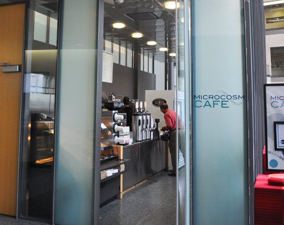 MICROCOSM CAFE - Updated November 2025 - 1550 Linden Dr, Madison ...