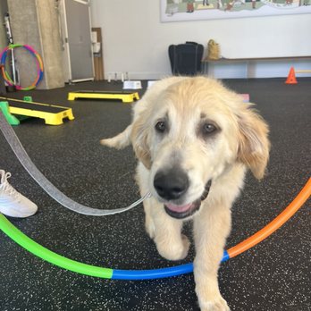 THE HUB BY PACK ANIMALS - Updated December 2025 - 42 Photos & 15 ...