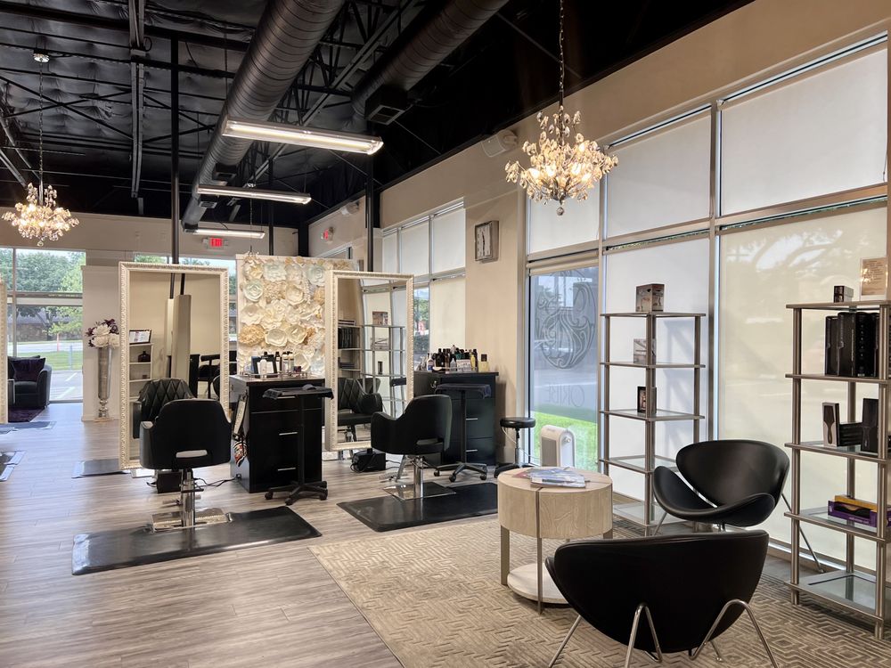 SALON LE VOLUME - Updated July 2024 - 180 Photos & 37 Reviews - 1701 ...