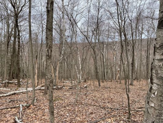 STEEP ROCK PRESERVE - Updated January 2026 - 37 Photos - 2 Tunnel Rd ...