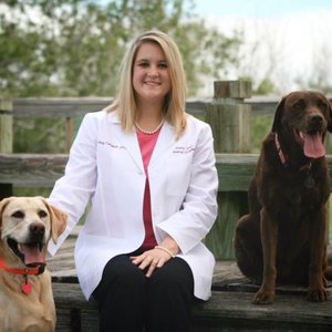 NORTH STAR 410 ANIMAL HOSPITAL - Updated December 2025 - 10 Reviews ...