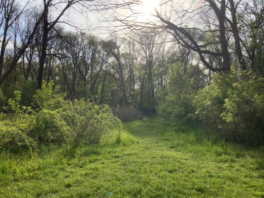 FERRETTIE/BAUGO CREEK COUNTY PARK - 10 Photos - 57057 Ash Rd, Osceola ...