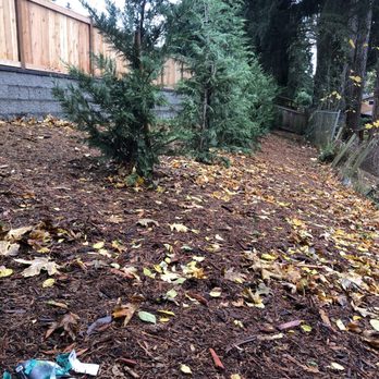 J ZAMORA CONSTRUCTION - Updated September 2025 - 173 Photos & 25 ...