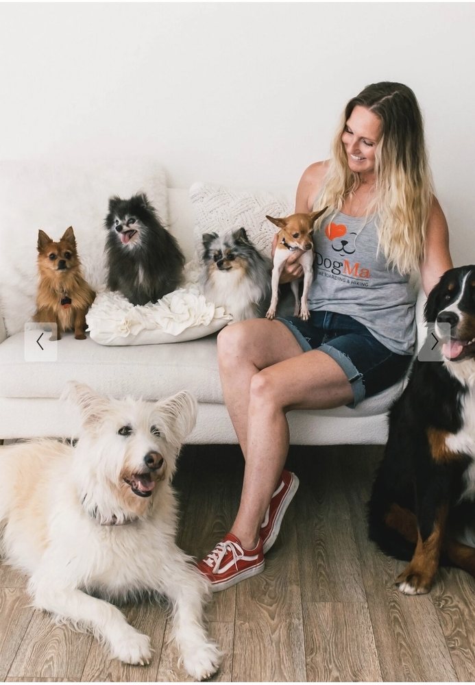 MADISON DOGMA - Updated August 2025 - Madison, Wisconsin - Pet Boarding ...