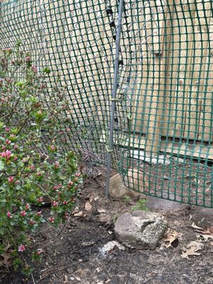 MANDY MANAGEMENT - Updated September 2025 - 28 Photos & 32 Reviews ...