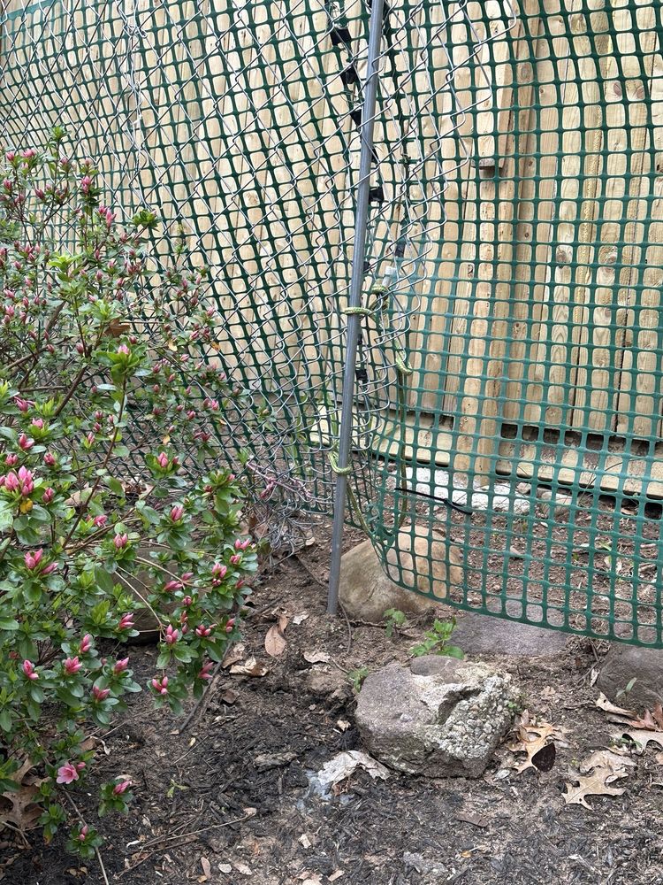 MANDY MANAGEMENT - Updated March 2025 - 27 Photos & 30 Reviews - 399 ...