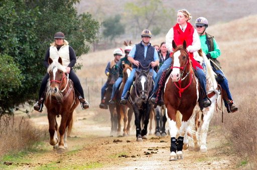 SUMMIT RANCH EQUINE CENTER - Updated December 2025 - 65 Photos & 13 ...