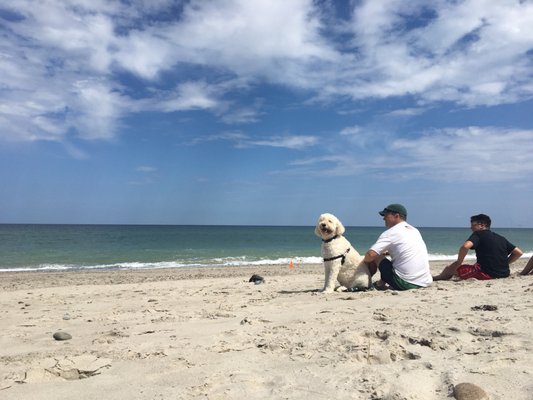 HUMAROCK BEACH - 29 Photos & 19 Reviews - Parks - Marshfield Ave ...