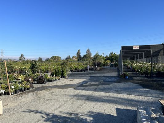 DEVIL MOUNTAIN WHOLESALE NURSERY - SAN RAMON - Updated December 2025 ...