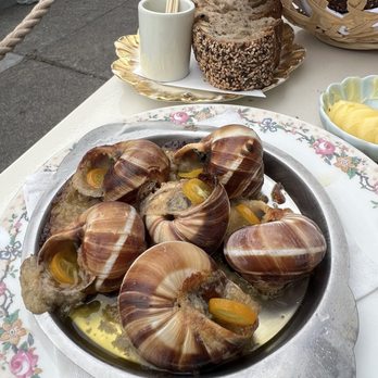 SNAIL BAR - Updated May 2025 - 755 Photos & 147 Reviews - 4935 Shattuck ...