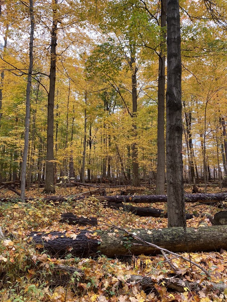 WEST CREEK RESERVATION - Updated November 2024 - 87 Photos & 18 Reviews ...