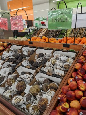 ADONIS - Updated October 2025 - 234 Photos & 93 Reviews - 20 Ashtonbee ...