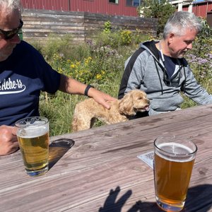 CASTLE DANGER BREWERY - 180 Photos & 143 Reviews - 17 7th St, Two ...