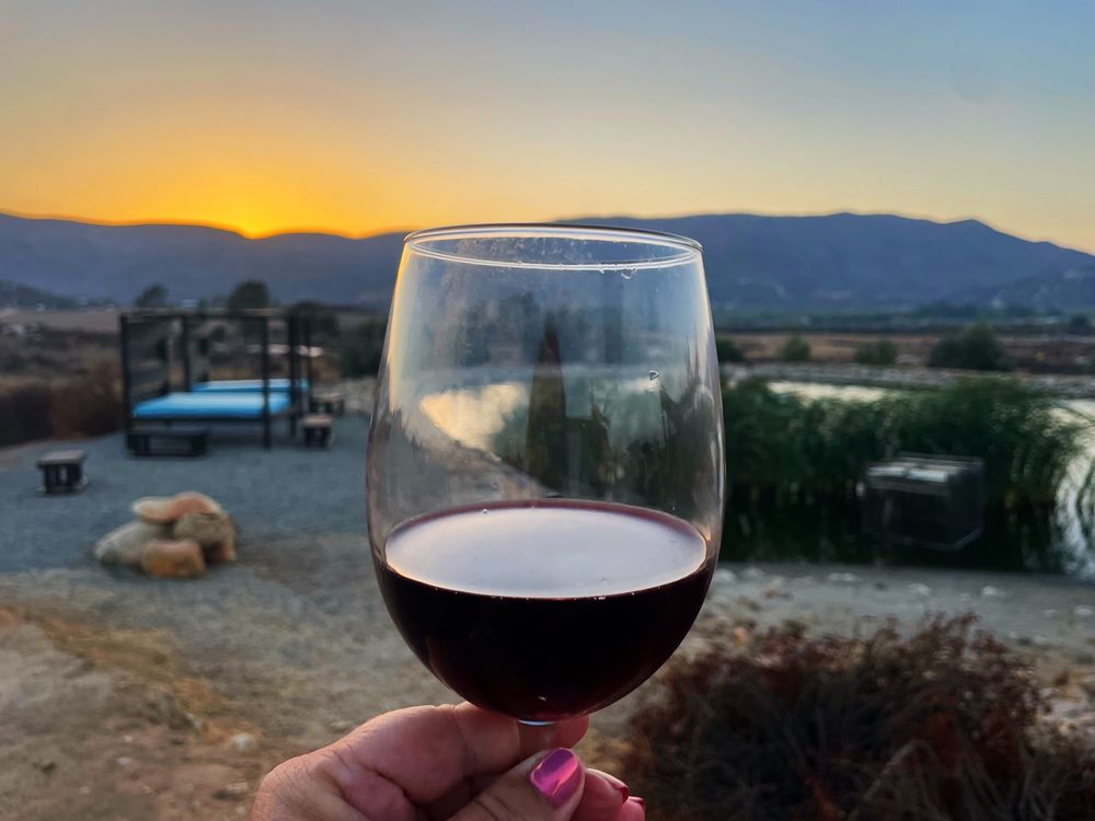 VENA CAVA VINÍCOLA - 224 Photos & 54 Reviews - Rancho San Marcos Toros ...