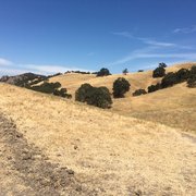 DIABLO FOOTHILLS REGIONAL PARK - 237 Photos & 44 Reviews - 1700 Castle ...