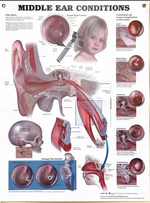 ENTAA CARE - Updated November 2025 - 10 Photos - 14201 Laurel Park Dr ...