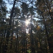 BREAKHEART RESERVATION - 197 Photos & 92 Reviews - Parks - 177 Forest ...